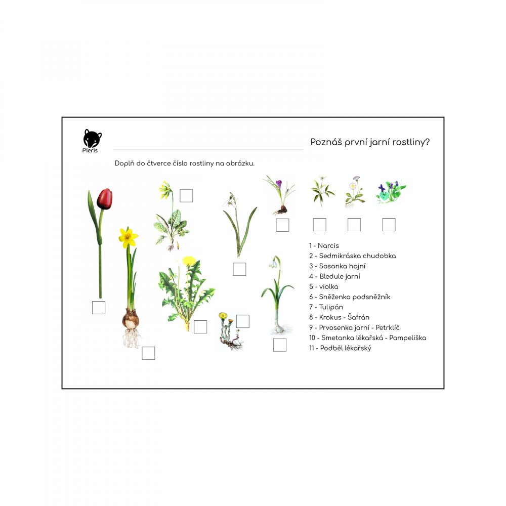 Pracovní list - Jarní rostliny - poznávačka | Pieris design